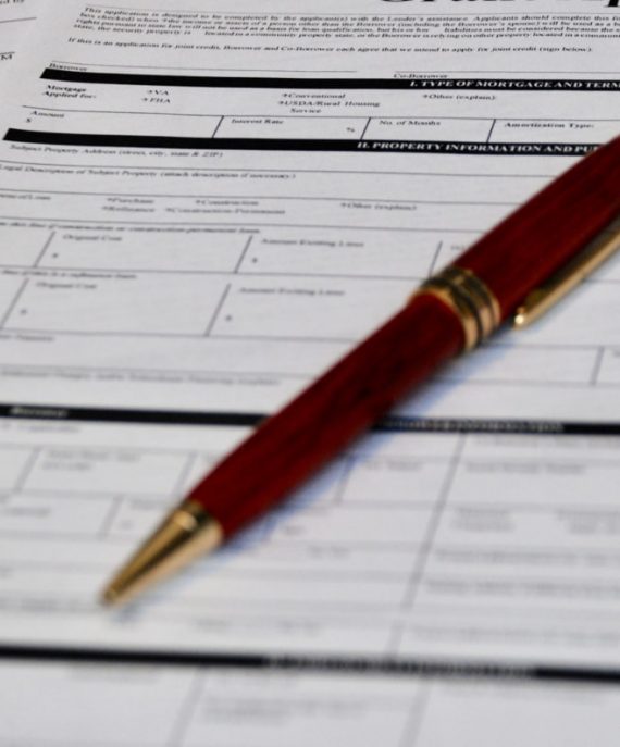 Local Government Services - SMPDD